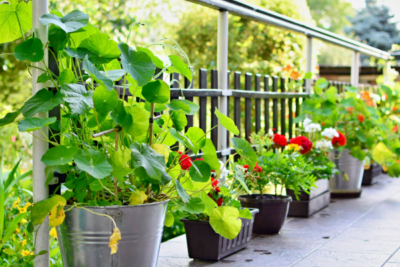 Garden Balustrade Ideas - SMART Balustrades